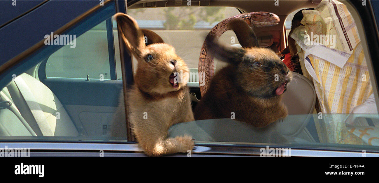 Car Ride Dog High Resolution Stock Photography and Images - Alamy