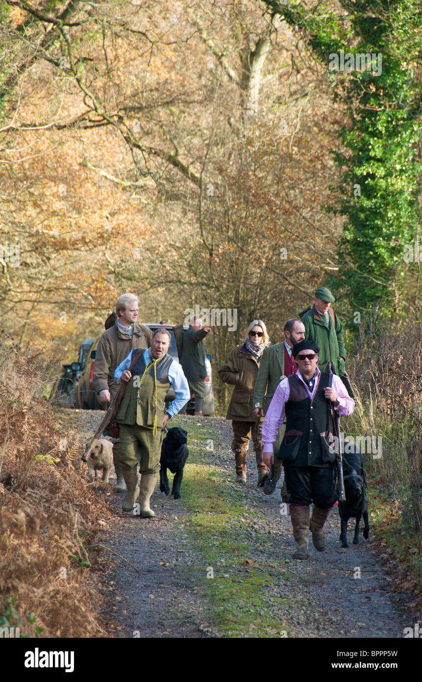 A pheasant shoot in the UK Stock Photo - Alamy