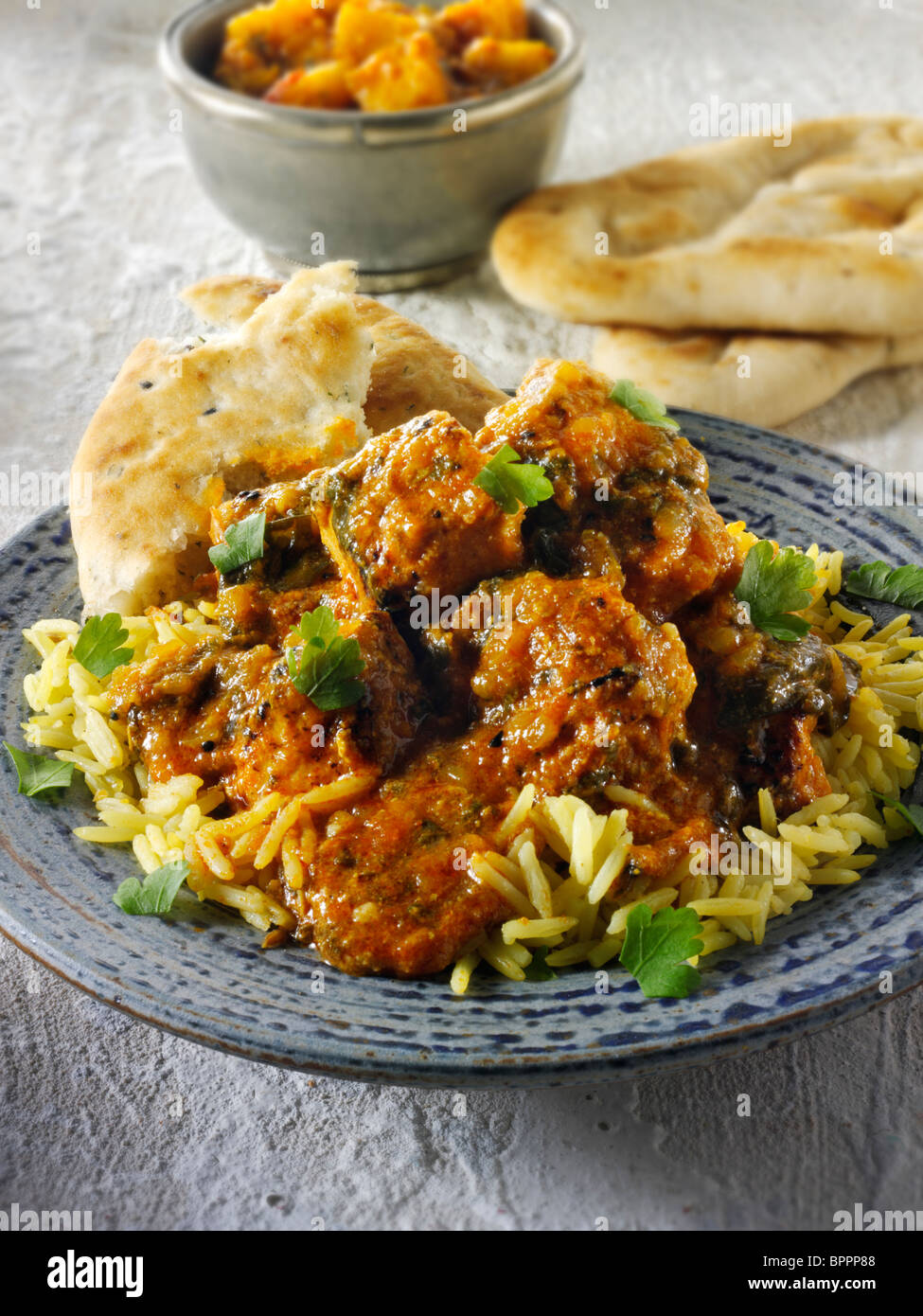 Chicken Sag Masala curry & rice, Indian food recipe pictures, photos ...