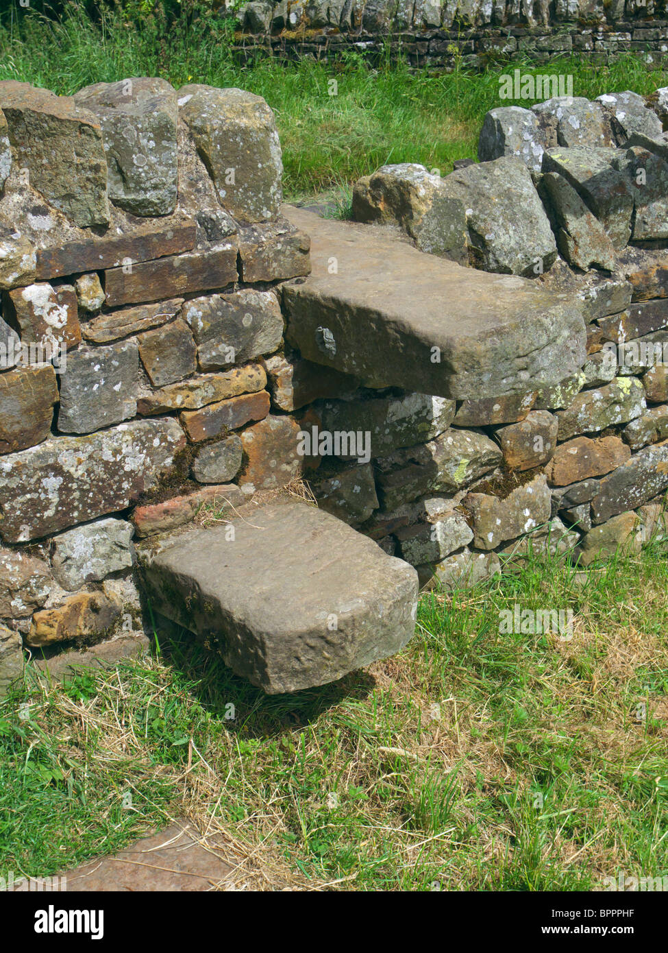 Life stiles hi-res stock photography and images - Alamy