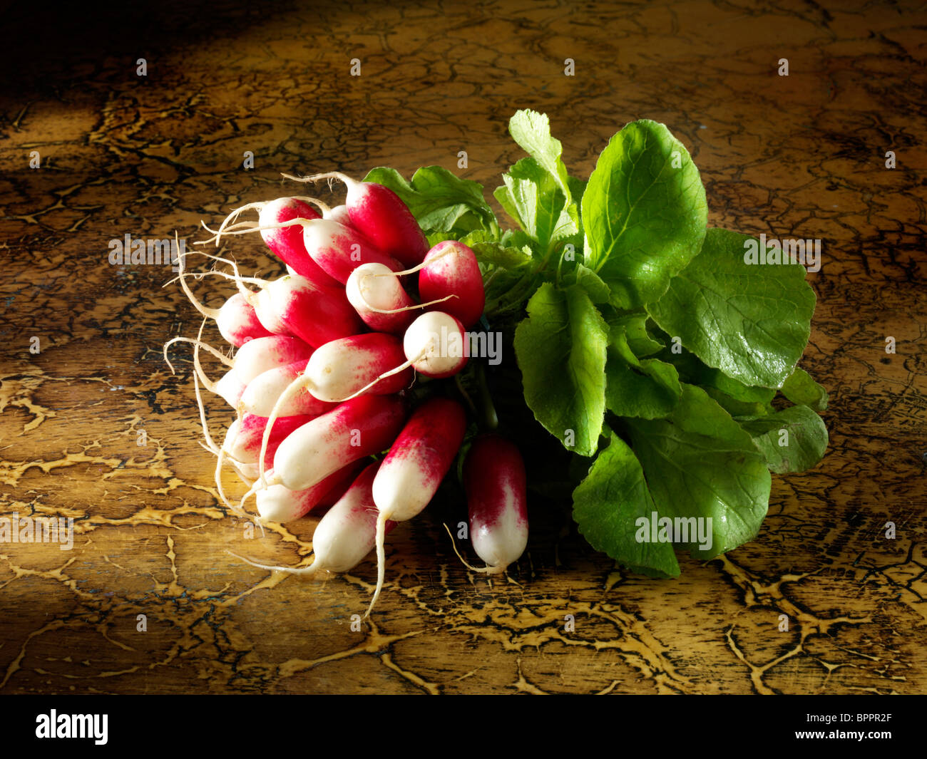 Raddish photos, pictures & images Stock Photo - Alamy