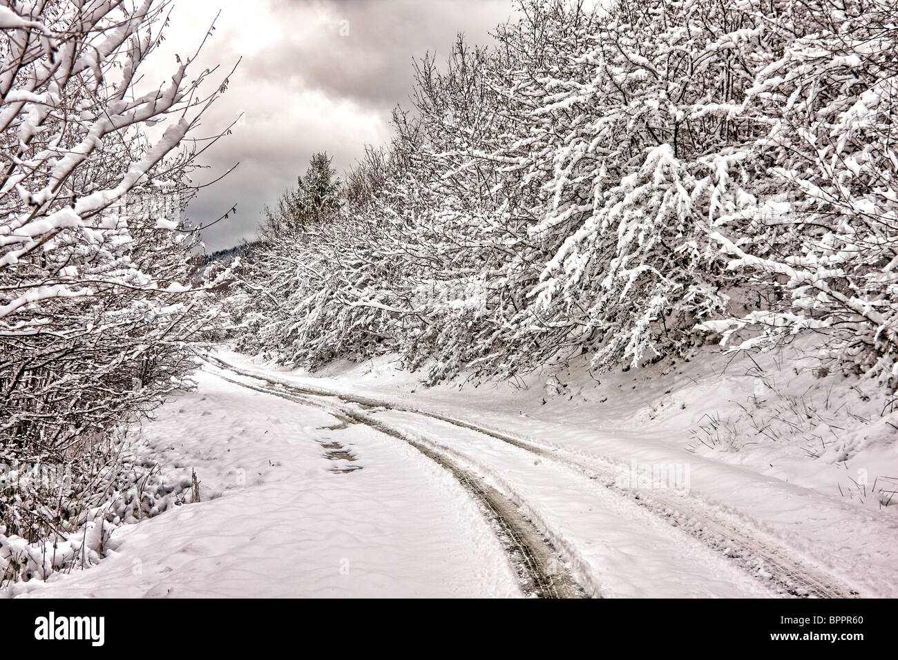 Winter countryside rural landscape hi-res stock photography and images ...
