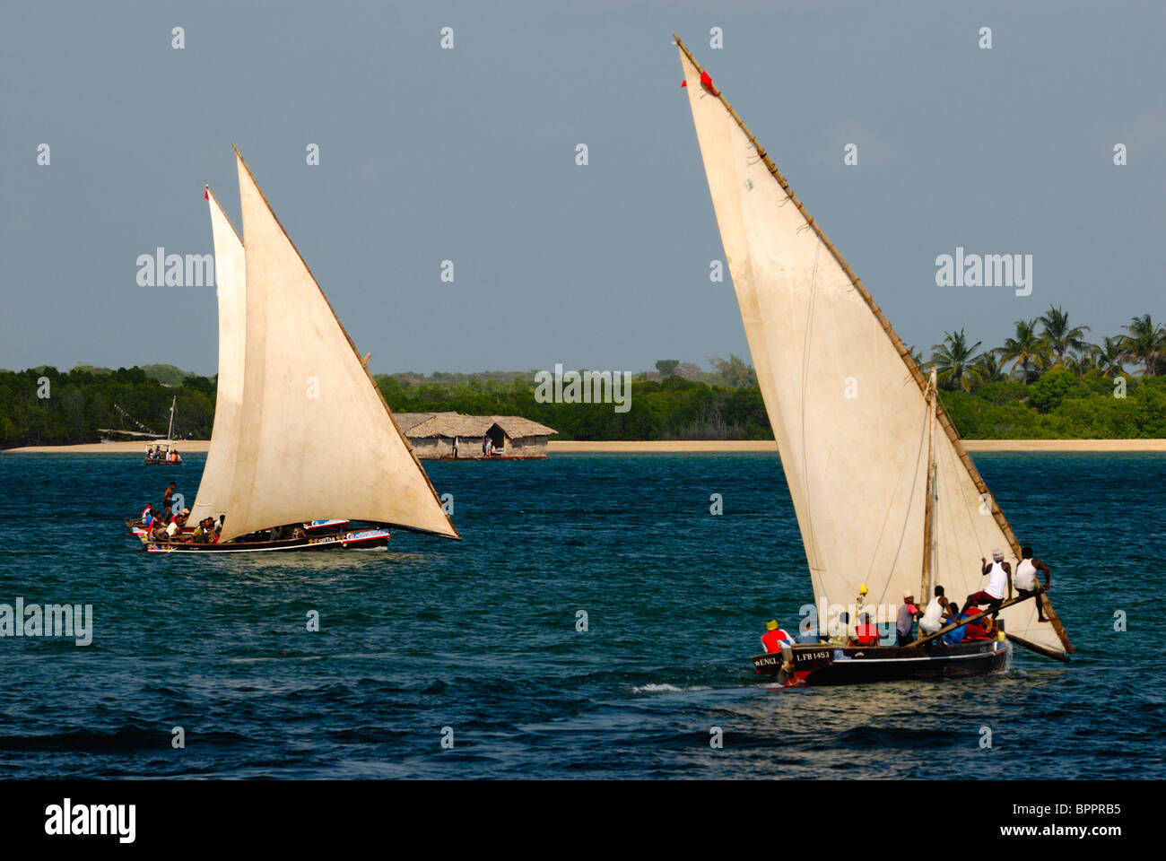 The New Year's Day dhow race, Lamu Island, Kenya Stock Photo - Alamy