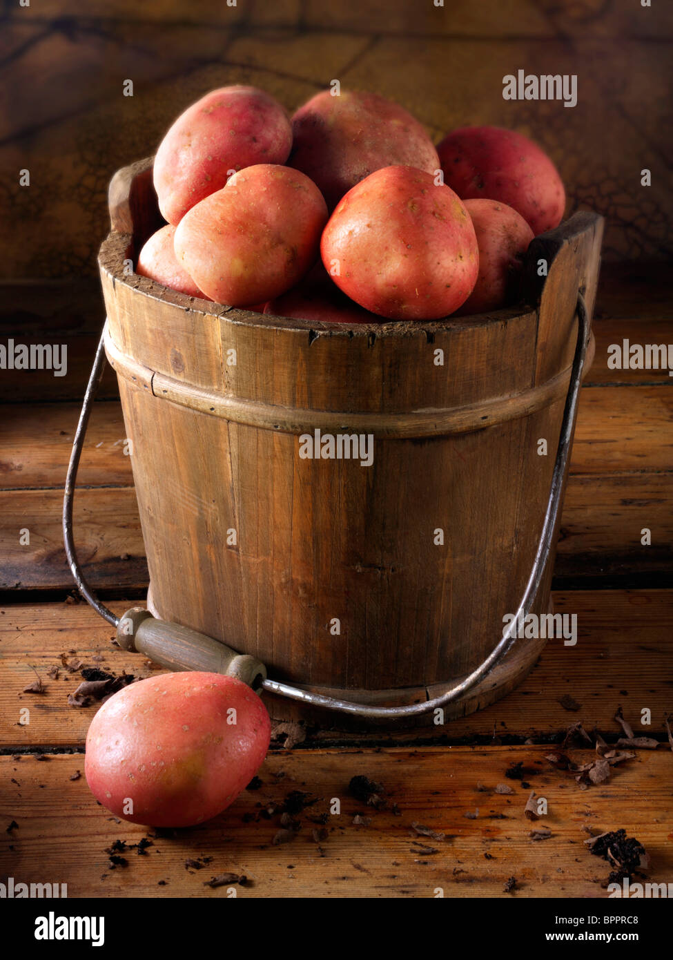 Red Rooster potatoes photos, pictures & images Stock Photo - Alamy