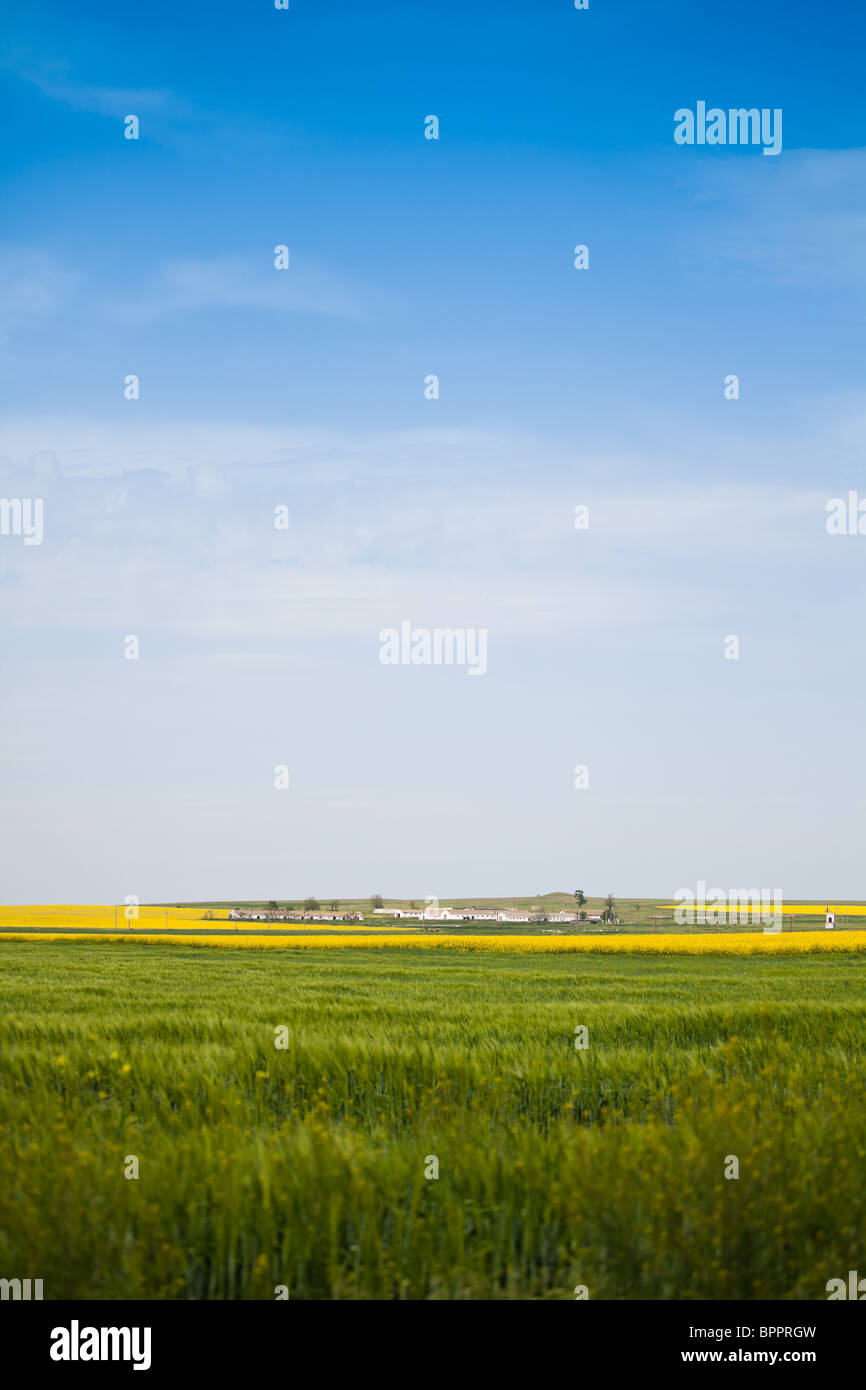 Farm in the countryside of Dobrogea region, Romania Stock Photo - Alamy