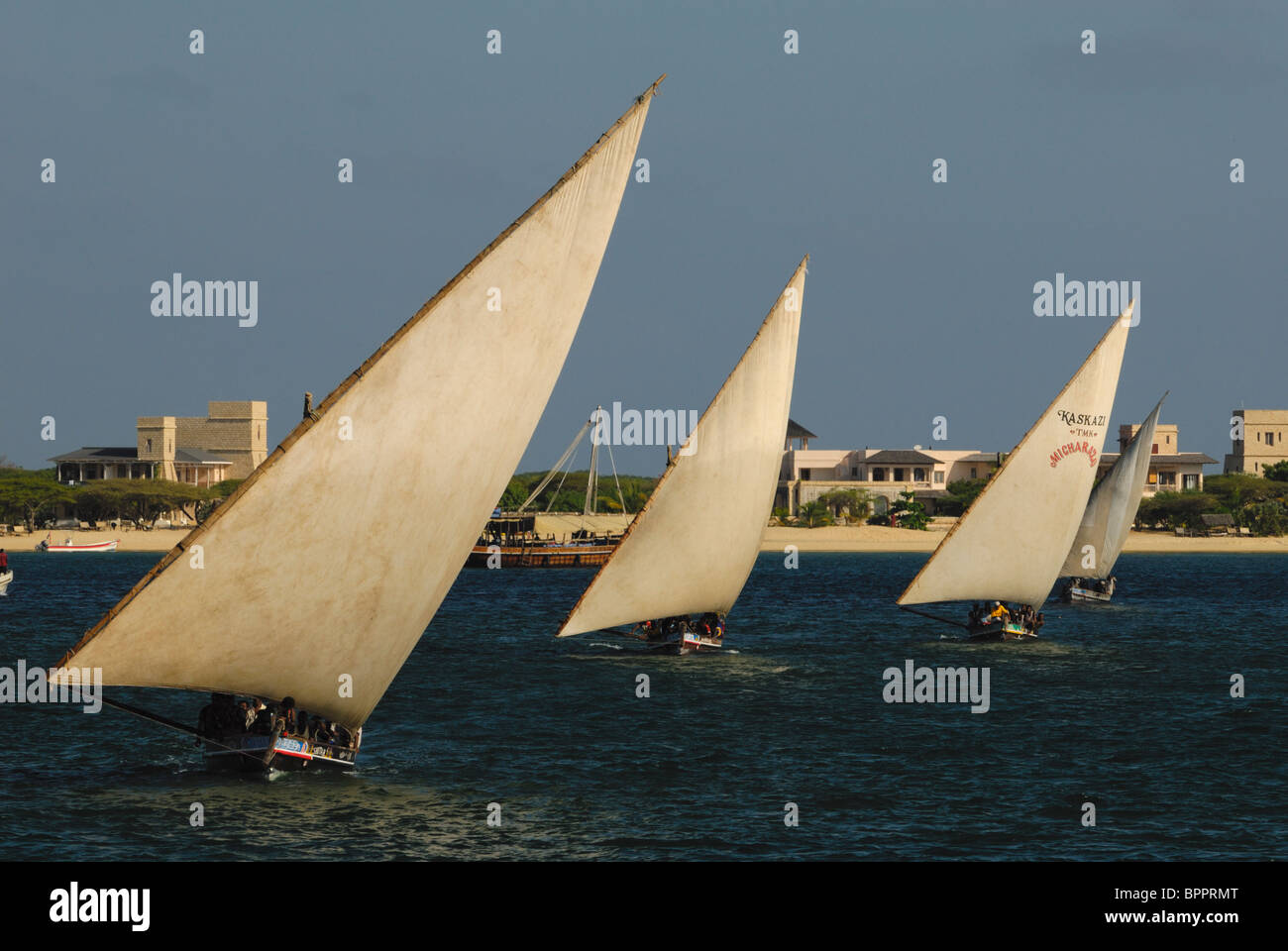 Dhow race kenya hi-res stock photography and images - Alamy