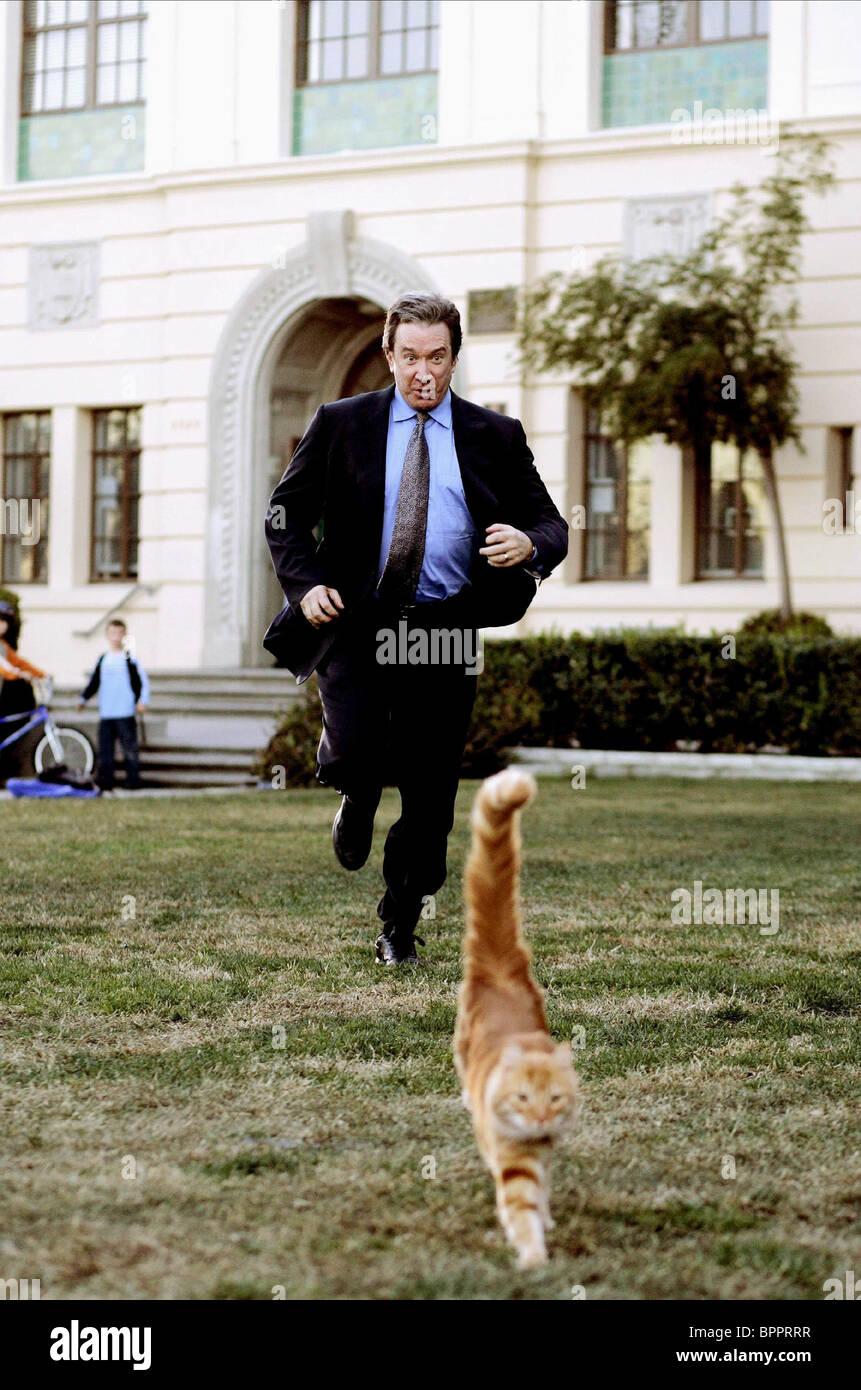 The Shaggy Dog, Movie High Resolution Stock Photography and Images - Alamy