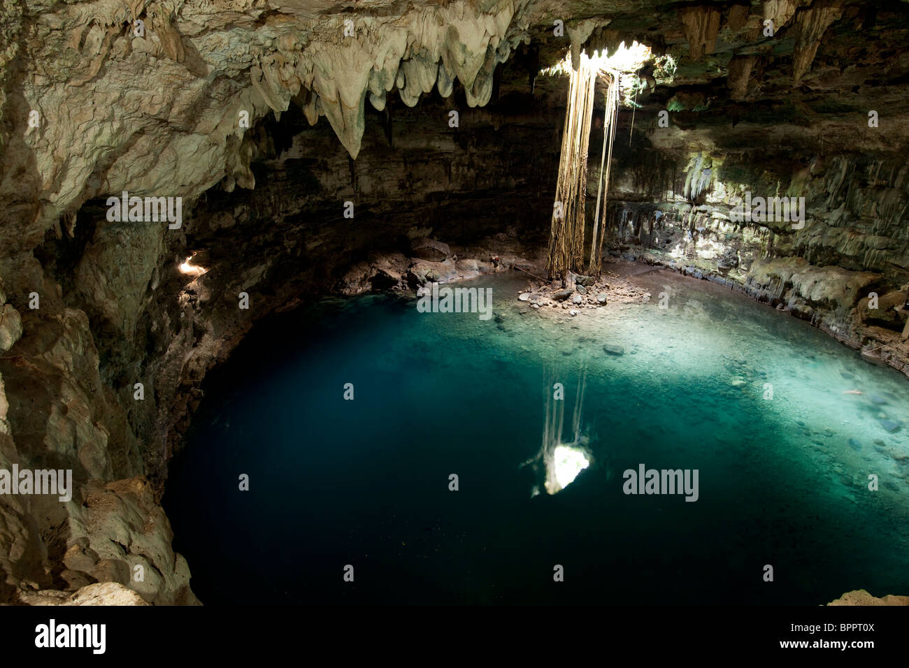 Cenote Samula, Dzitnup village near Valladolid, the Yucatan, Mexico ...