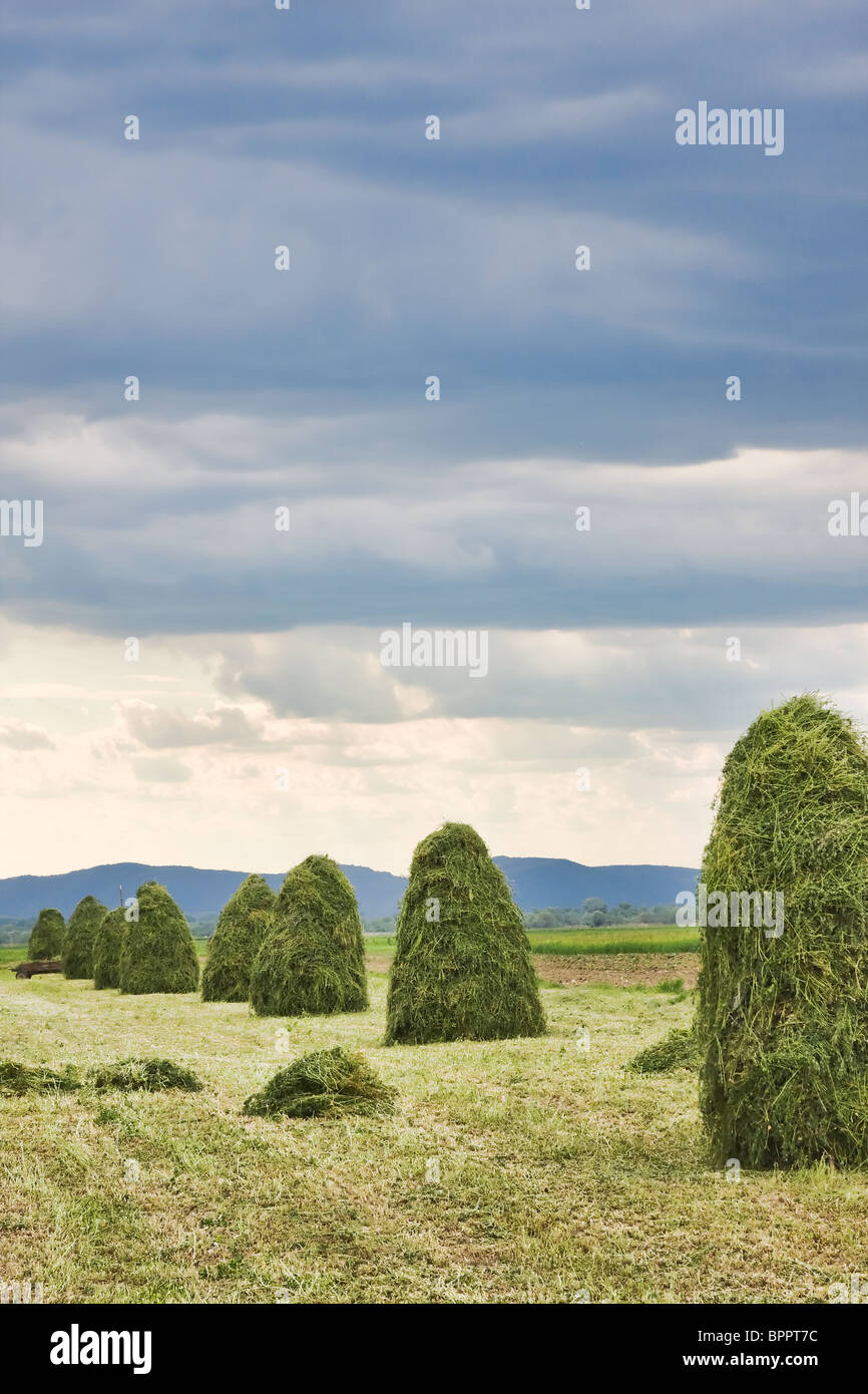 Haystack romania hi-res stock photography and images - Alamy