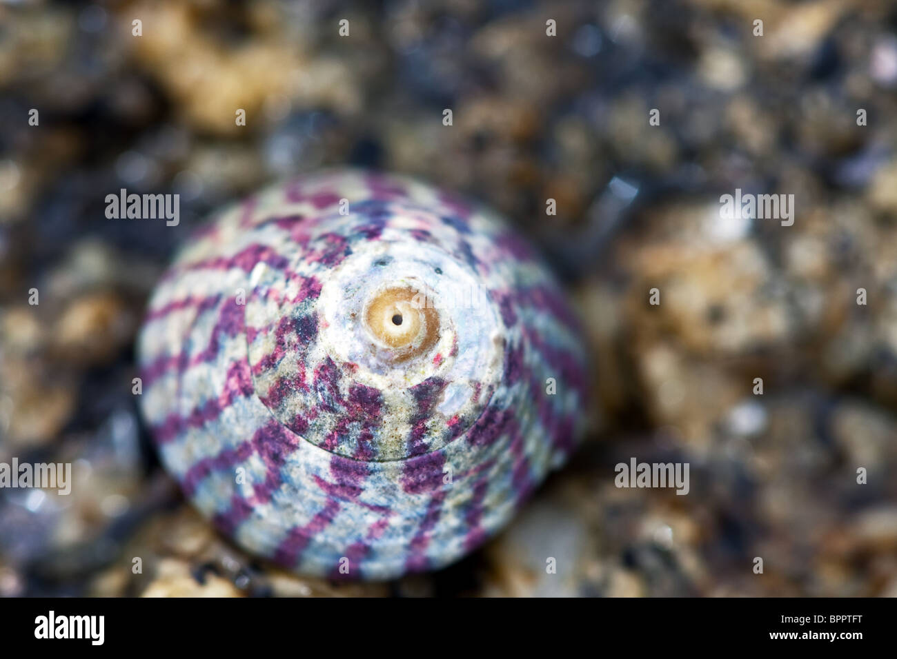 Beach and visual depth hi-res stock photography and images - Alamy