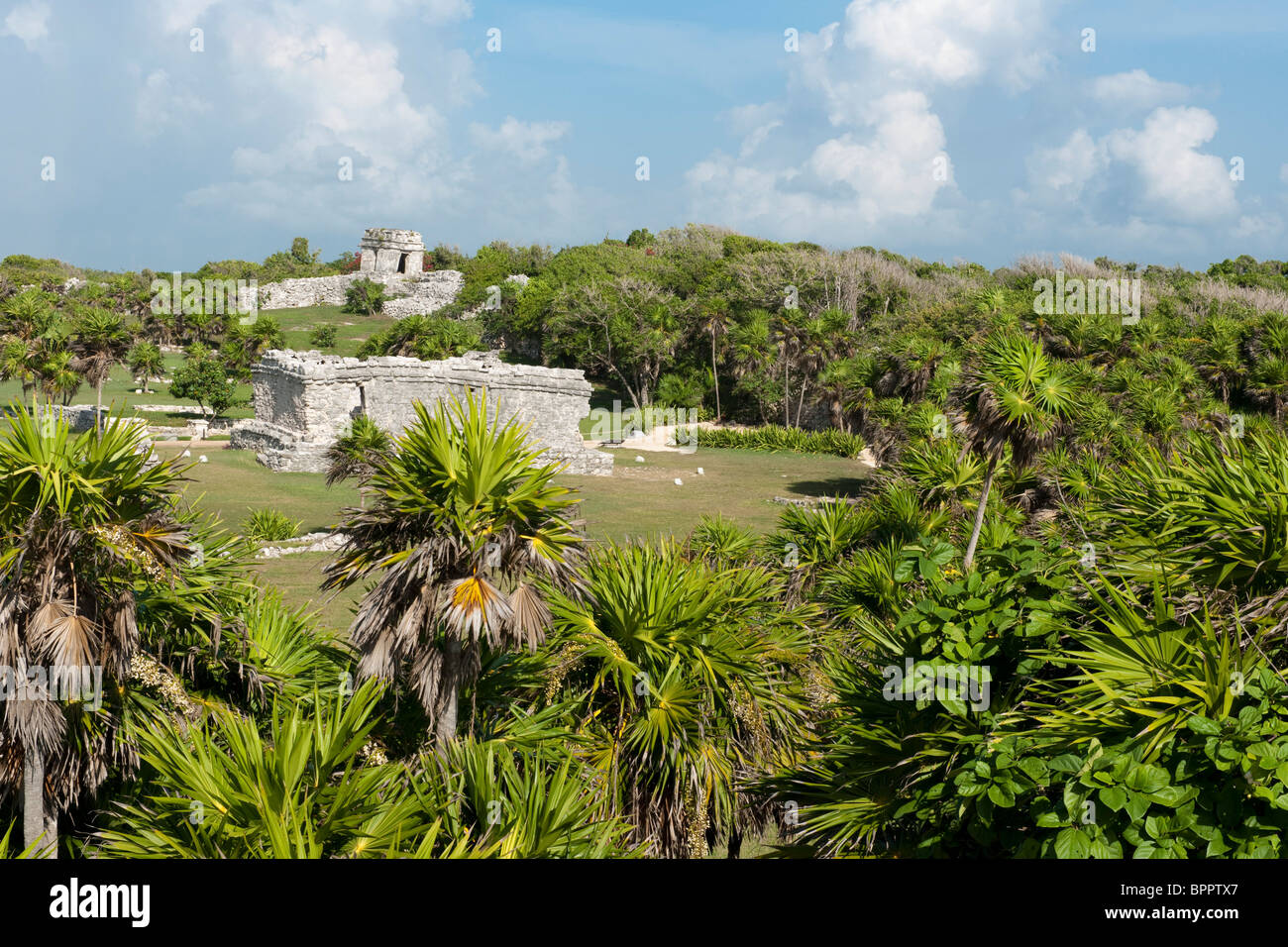 Vegetation yucatan hi-res stock photography and images - Alamy