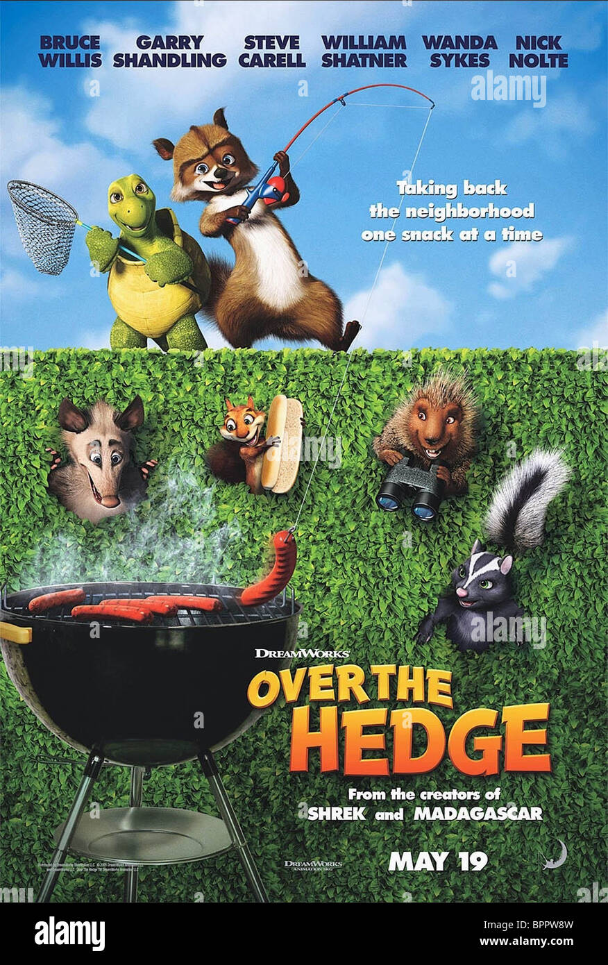 Raccoon And Skunk High Resolution Stock Photography and Images - Alamy