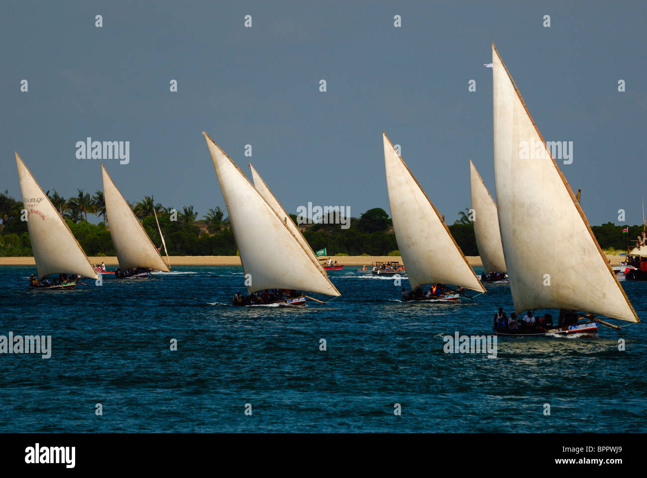 Dhow race lamu hi-res stock photography and images - Alamy