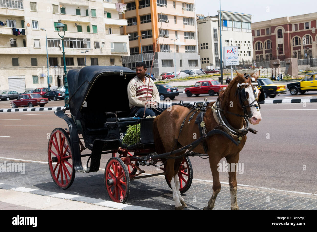 Egyptian taxi driver egypt hi-res stock photography and images - Alamy
