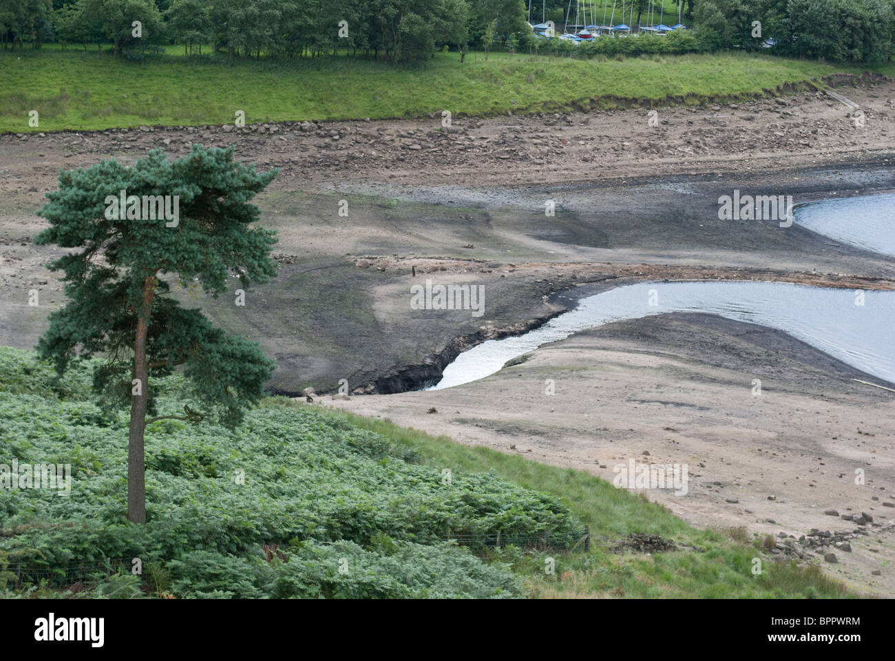 Dovestones Reservoir inlet and lone tree Stock Photo - Alamy