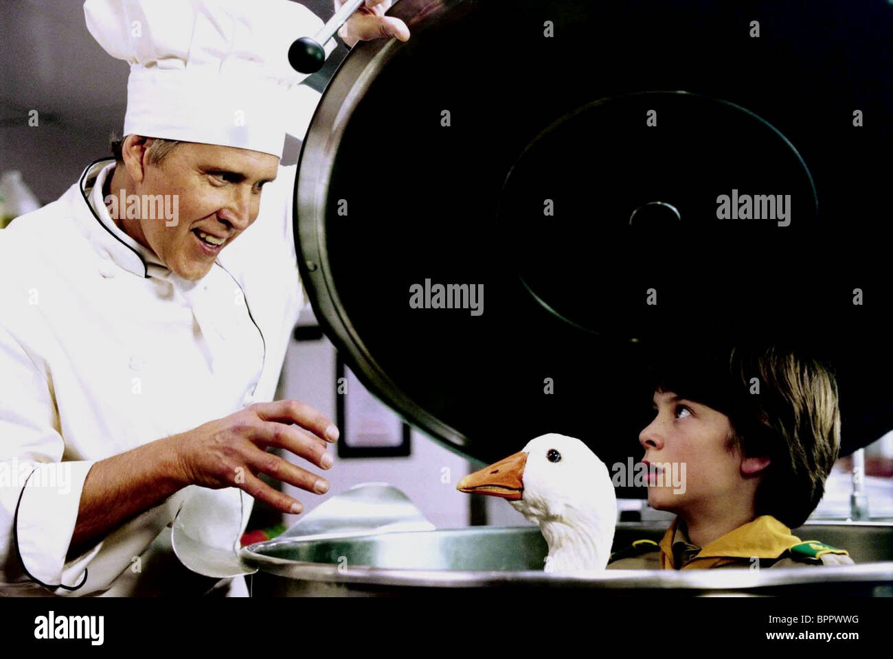 Film Goose High Resolution Stock Photography and Images - Alamy