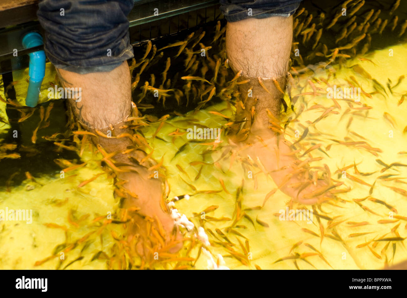 Fish foot therapy, night market, Sathorn, Bangkok, Thailand Stock Photo ...