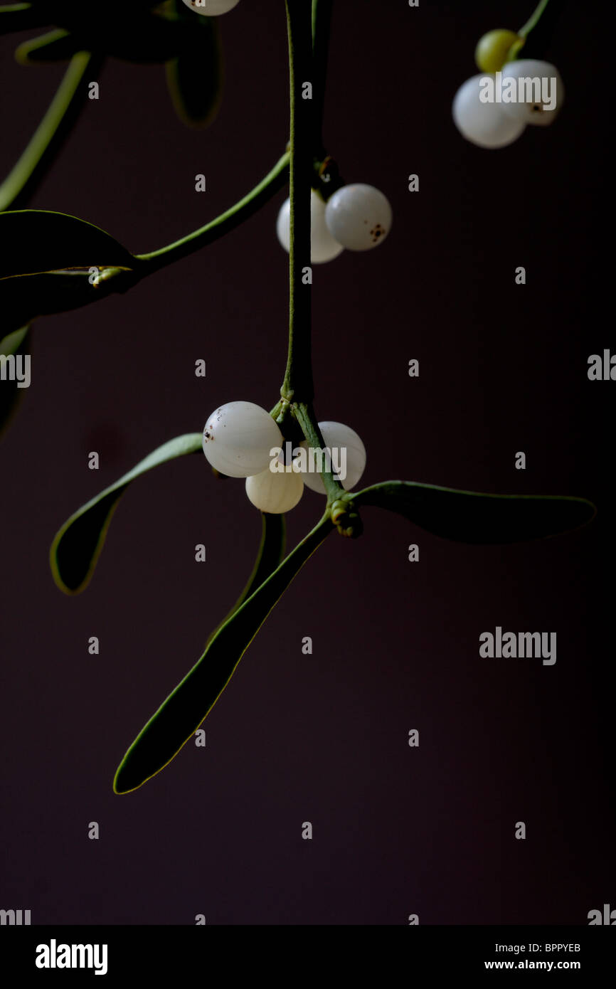 Snogging and christmas hi-res stock photography and images - Alamy