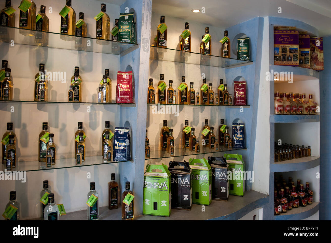 Mescal shop, local alcoholic drink of choice, Oaxaca, Mexico Stock ...