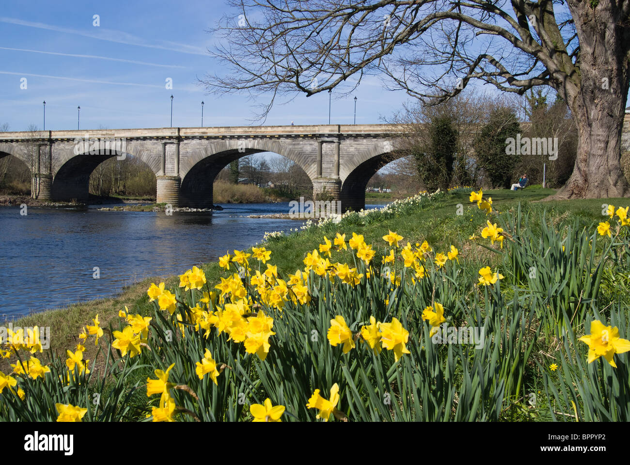 Kelso town bridge river tweed hi-res stock photography and images - Alamy