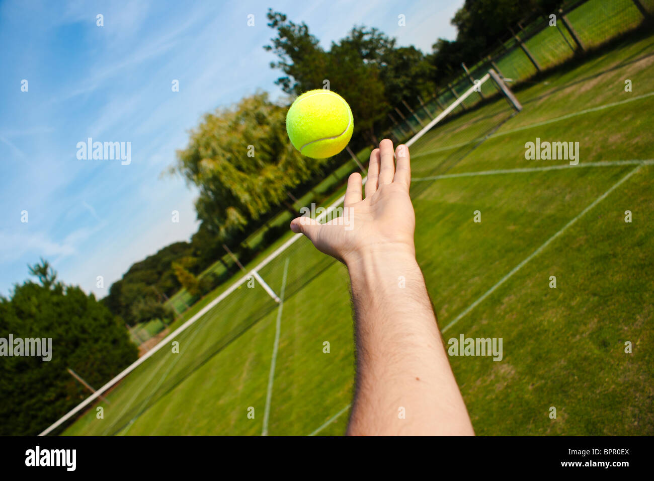 A tennis player tosses the ball in preparation for a serve Stock Photo ...