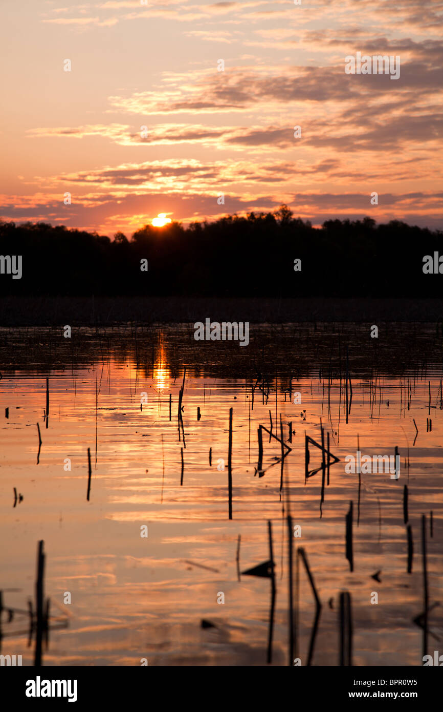 Danube delta area hi-res stock photography and images - Alamy