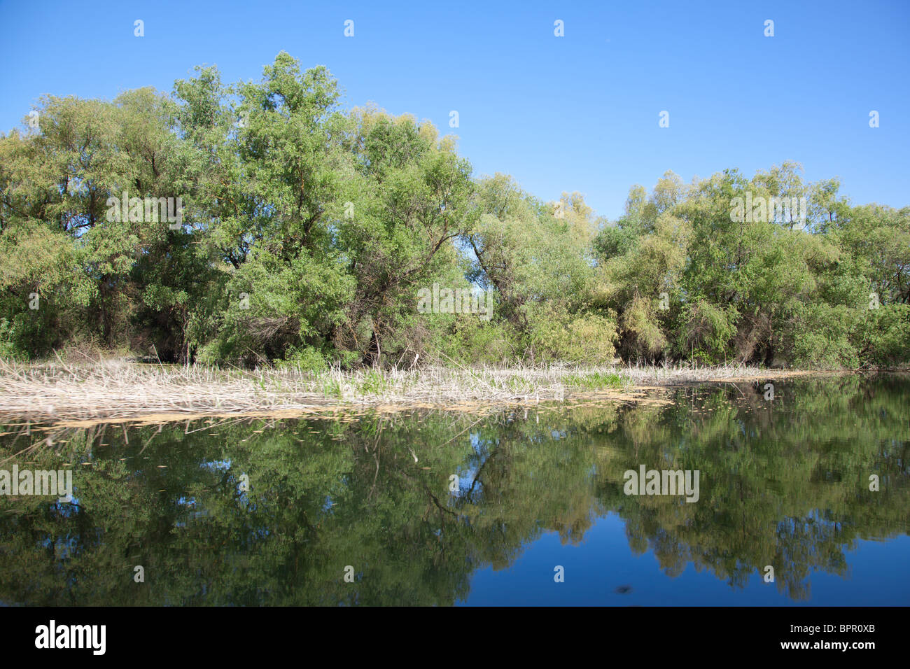 Beautiful spring landscape in Danube Delta, Romania Stock Photo - Alamy