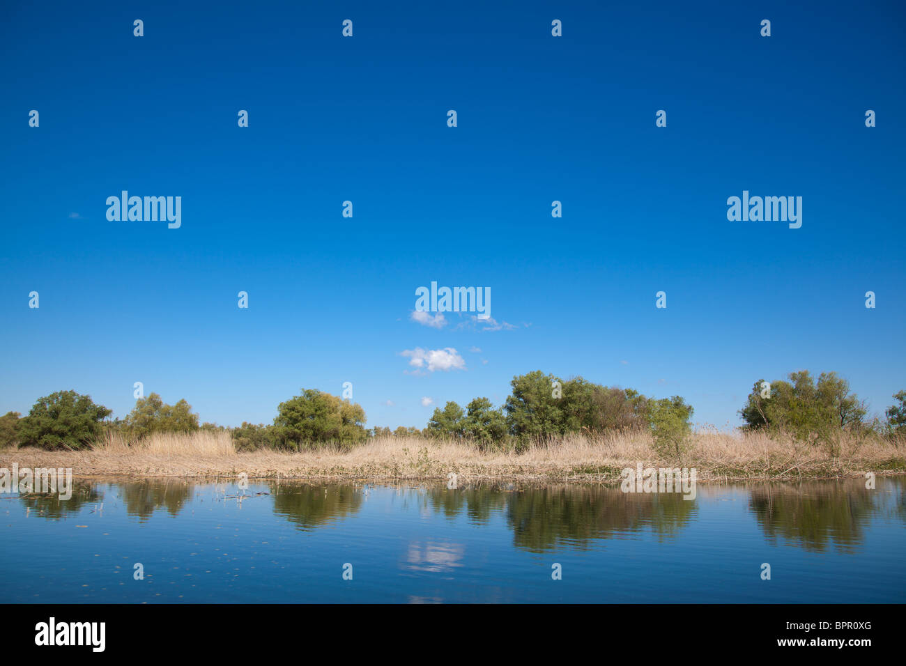 Beautiful spring landscape in Danube Delta, Romania Stock Photo - Alamy