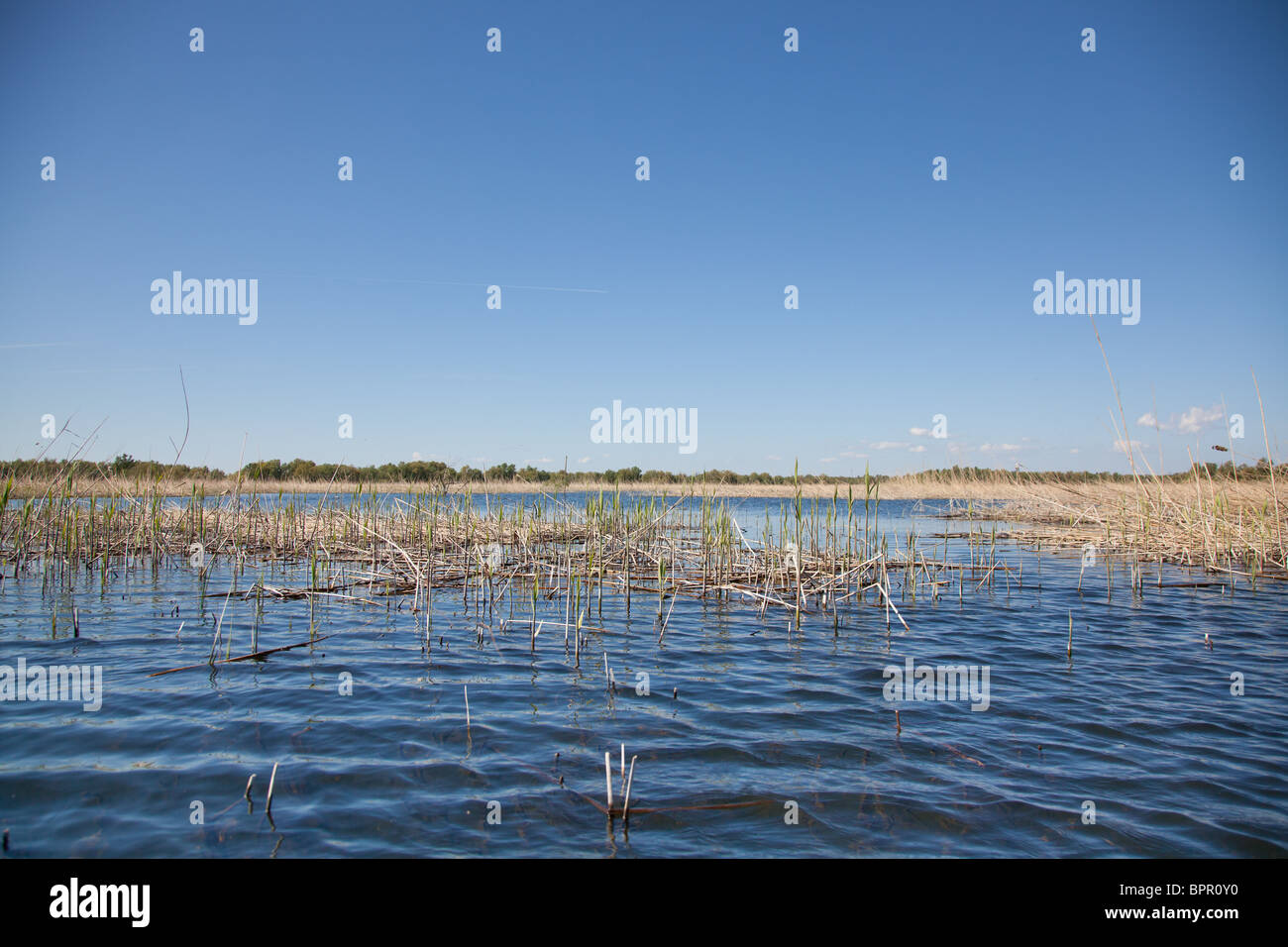 Danube river delta hi-res stock photography and images - Alamy