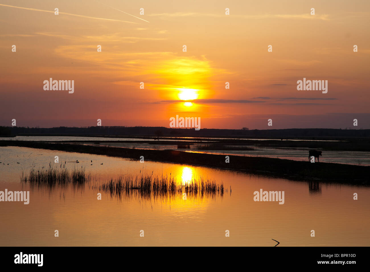 Sunset over the waters of Danube Delta in Romania Stock Photo - Alamy