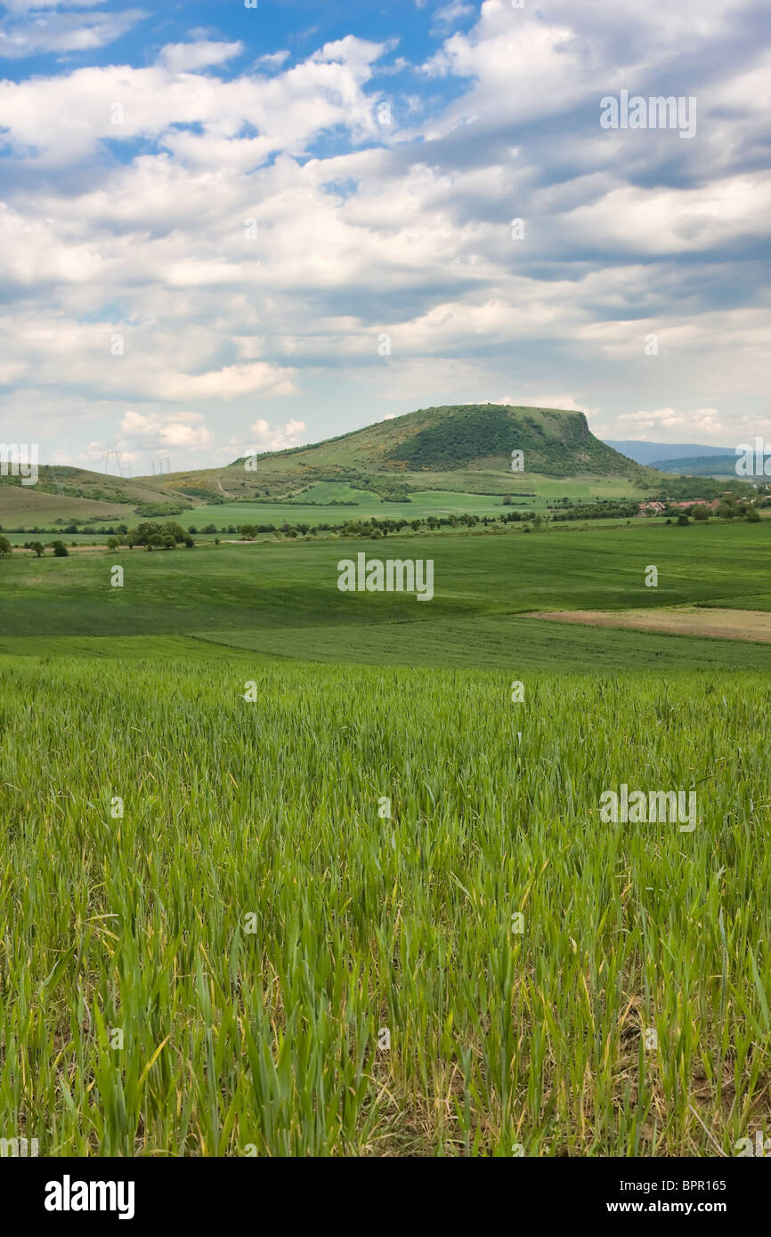 Uroi hi-res stock photography and images - Alamy