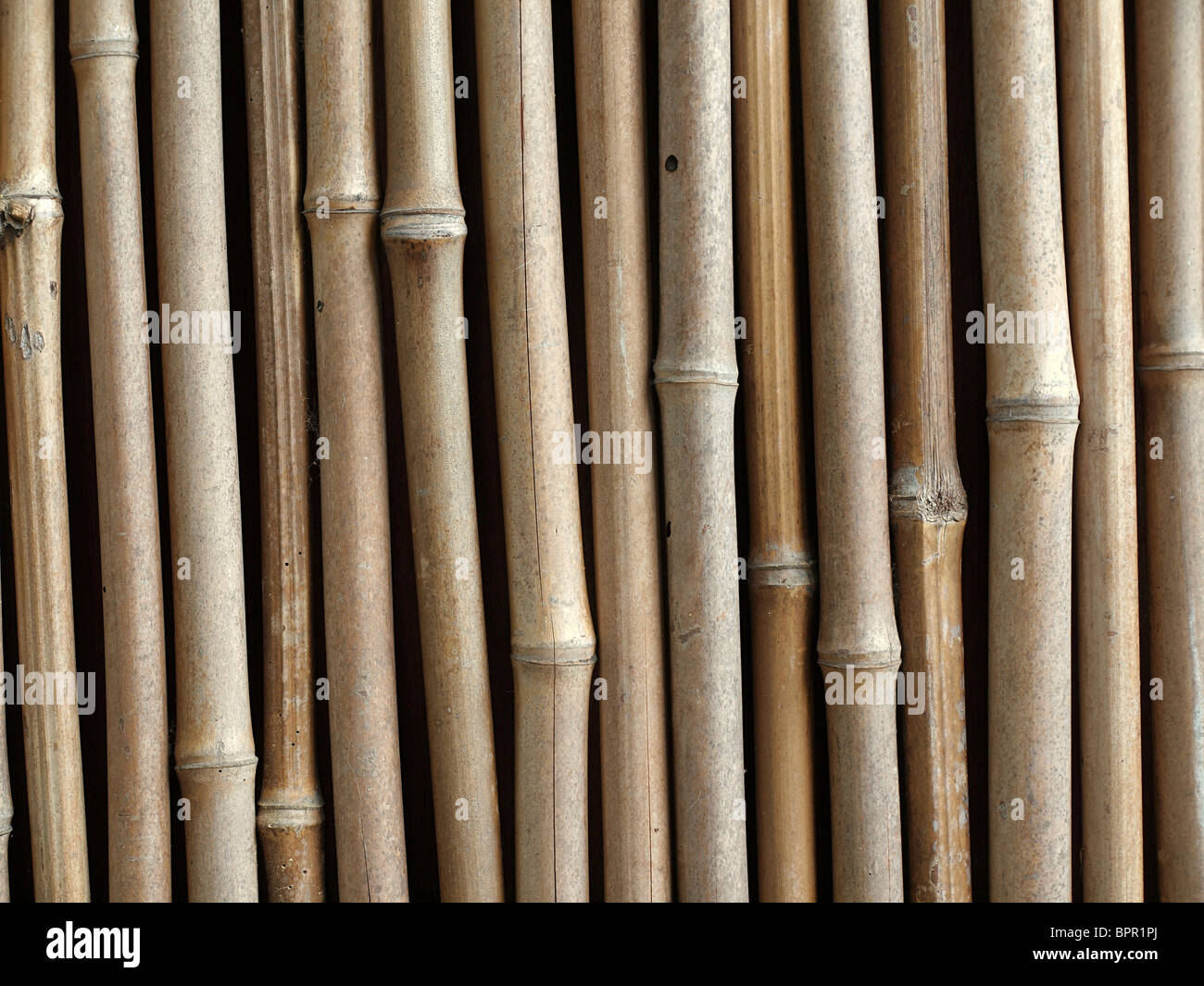 Bamboo fence made from straight bamboo poles Stock Photo - Alamy