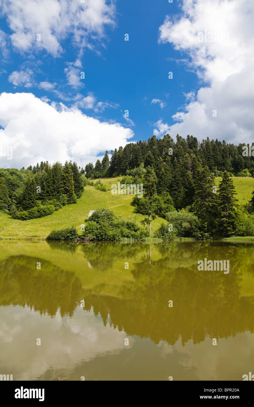Summer landscape at Brazi Lake (Tau Brazi) in Rosia Montana, Alba ...