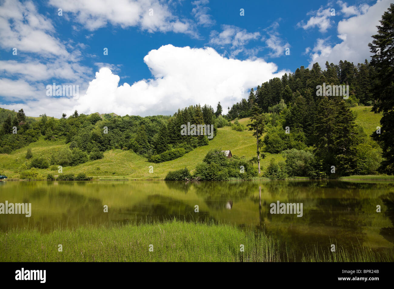 Summer landscape at Brazi Lake (Tau Brazi) in Rosia Montana, Alba ...