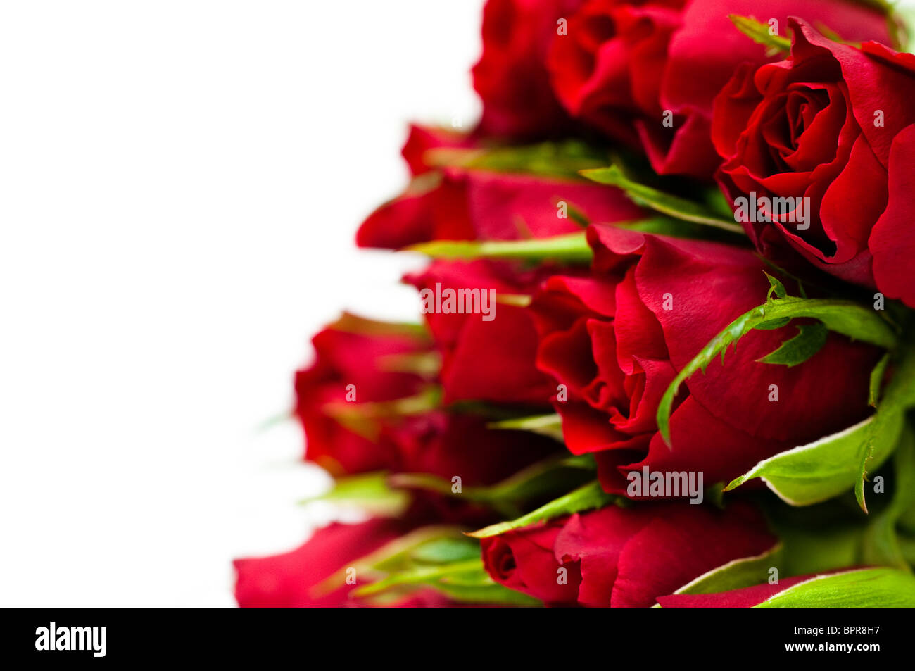 Bunch of red roses Stock Photo - Alamy