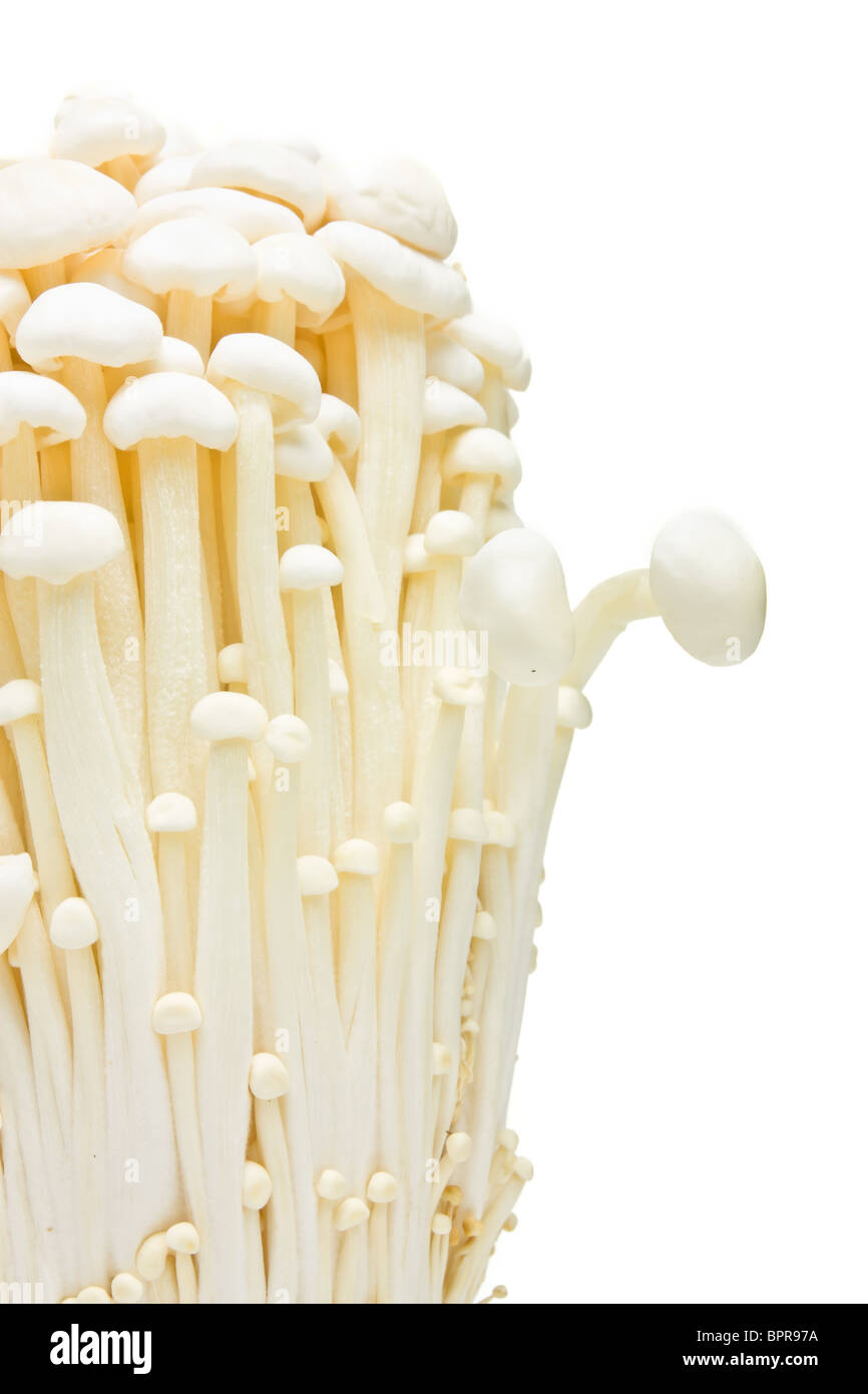 Abstract Enoki Mushrooms from low perspective isolated on white Stock ...