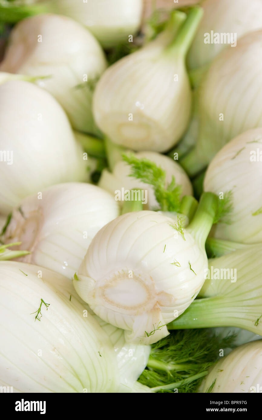 A bunch of fennel at the market Stock Photo - Alamy