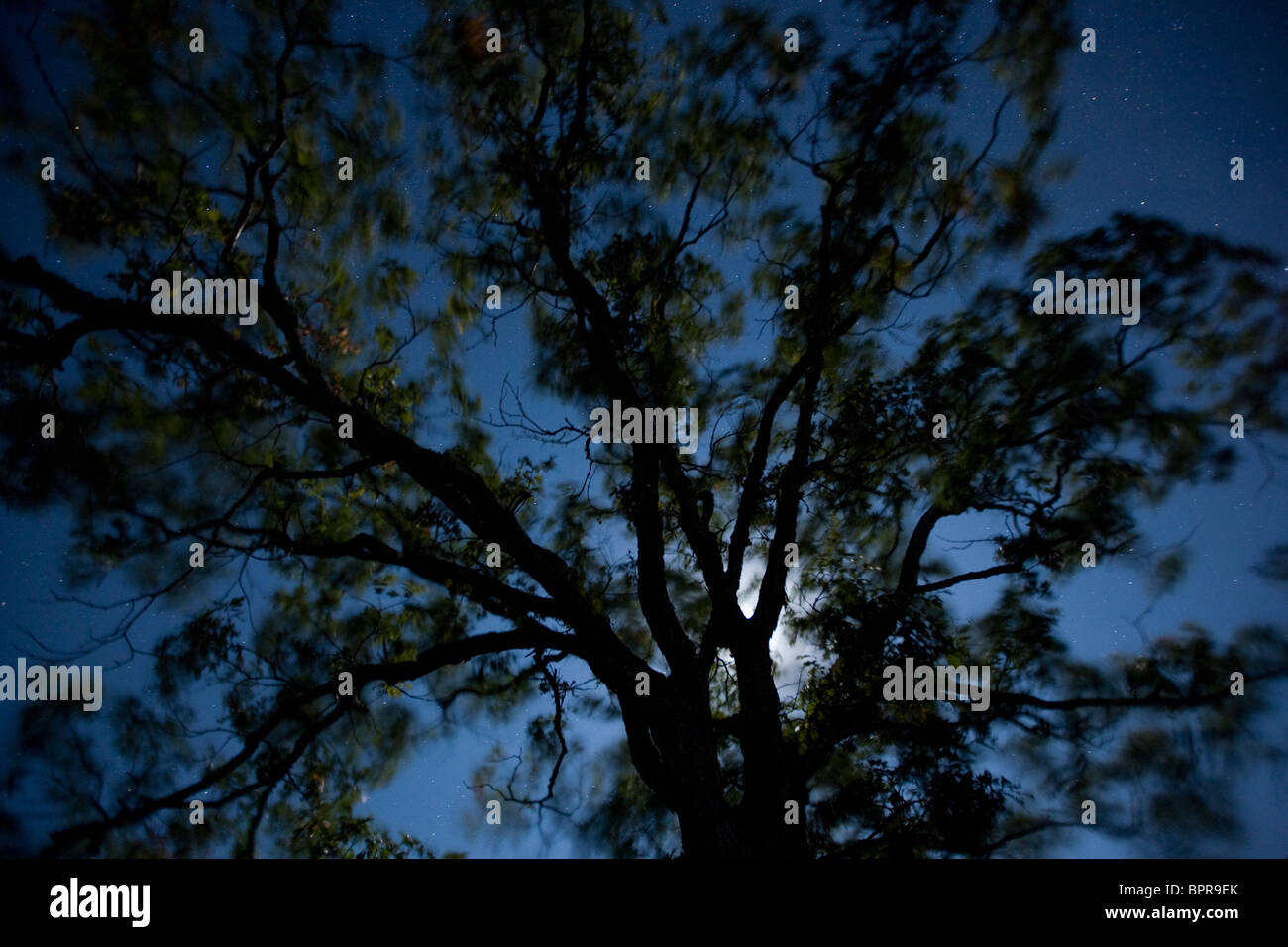 Ozark trail hi-res stock photography and images - Alamy