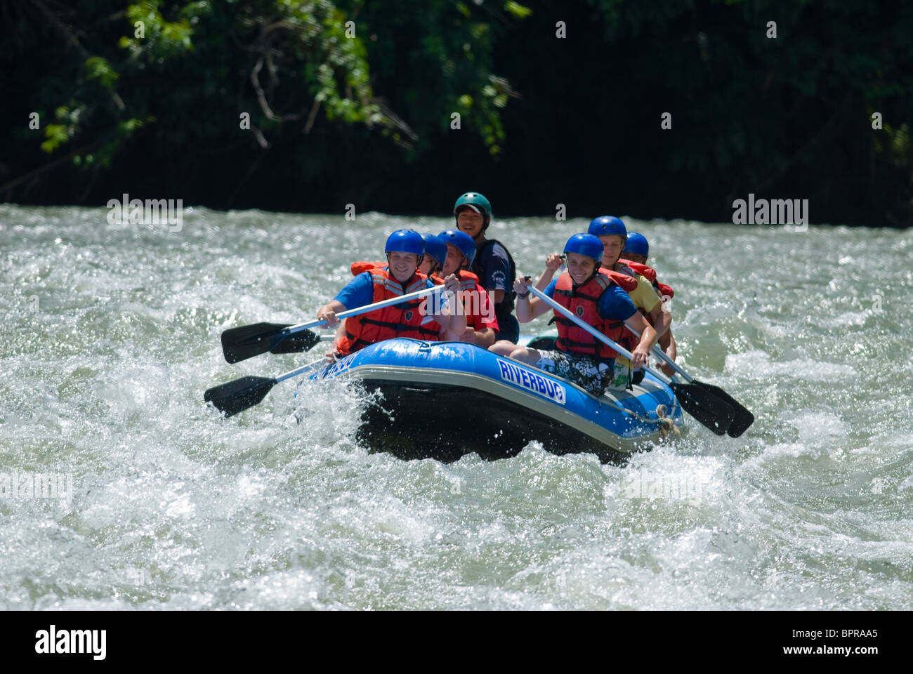 White Water Rafting on the Kuilu River, Sabah, Borneo Stock Photo - Alamy