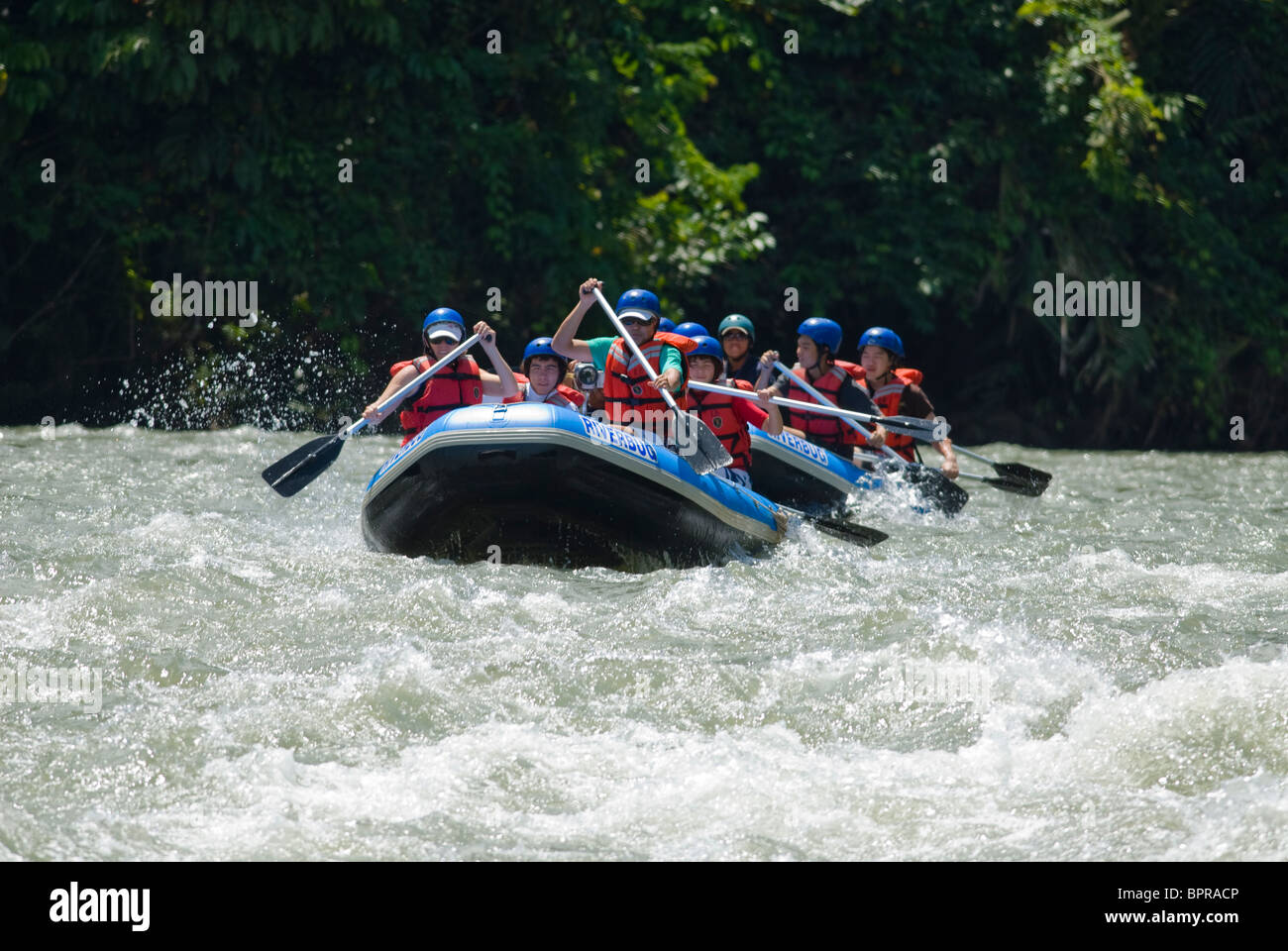White Water Rafting on the Kuilu River, Sabah, Borneo Stock Photo - Alamy
