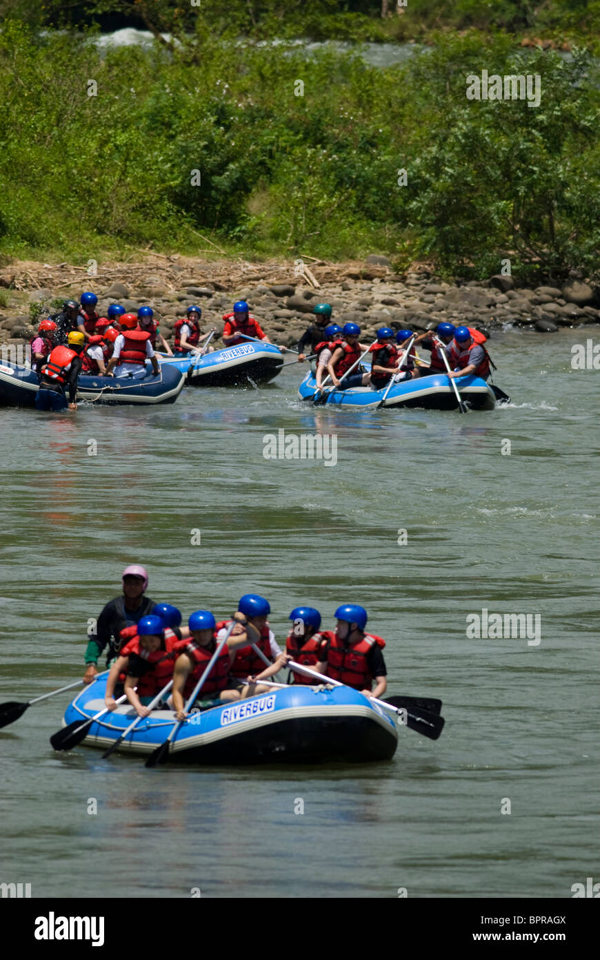 White Water Rafting on the Kuilu River, Sabah, Borneo Stock Photo - Alamy