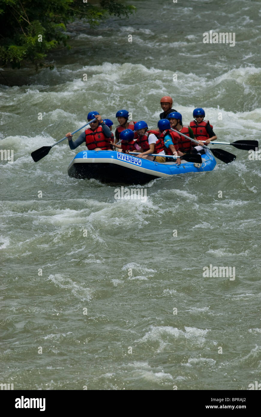 White Water Rafting on the Kuilu River, Sabah, Borneo Stock Photo - Alamy