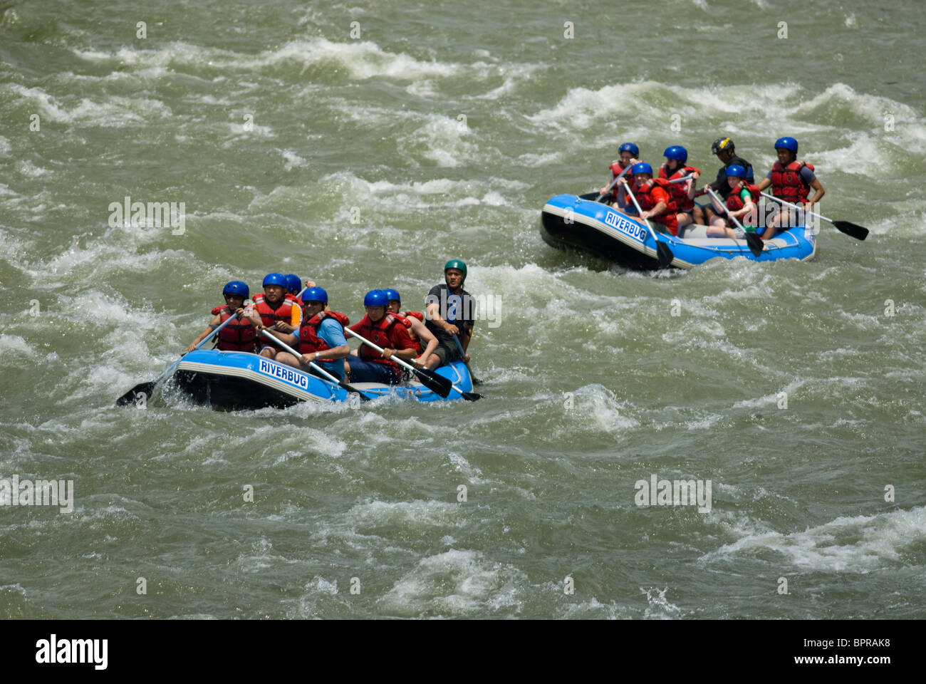White Water Rafting on the Kuilu River, Sabah, Borneo Stock Photo - Alamy
