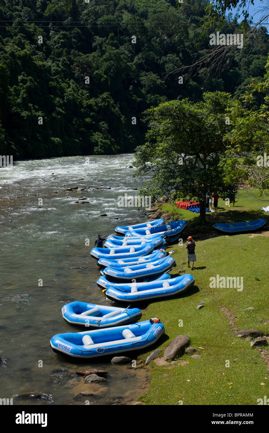 White Water Rafting on the Kuilu River, Sabah, Borneo Stock Photo - Alamy