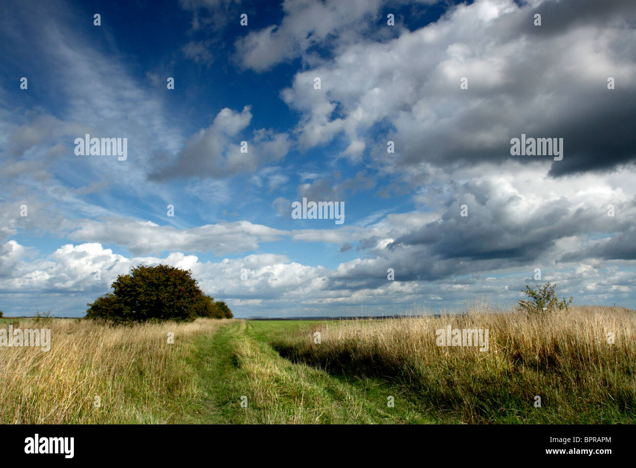 Salisbury Plain, Wiltshire, England, UK Stock Photo - Alamy