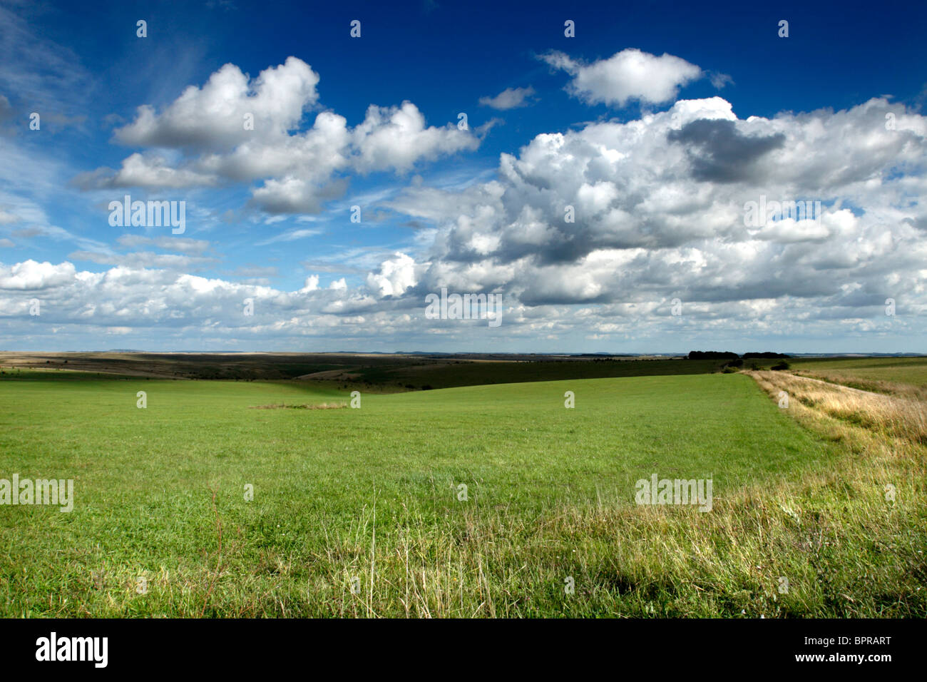 Salisbury Plain, Wiltshire, England, UK Stock Photo - Alamy