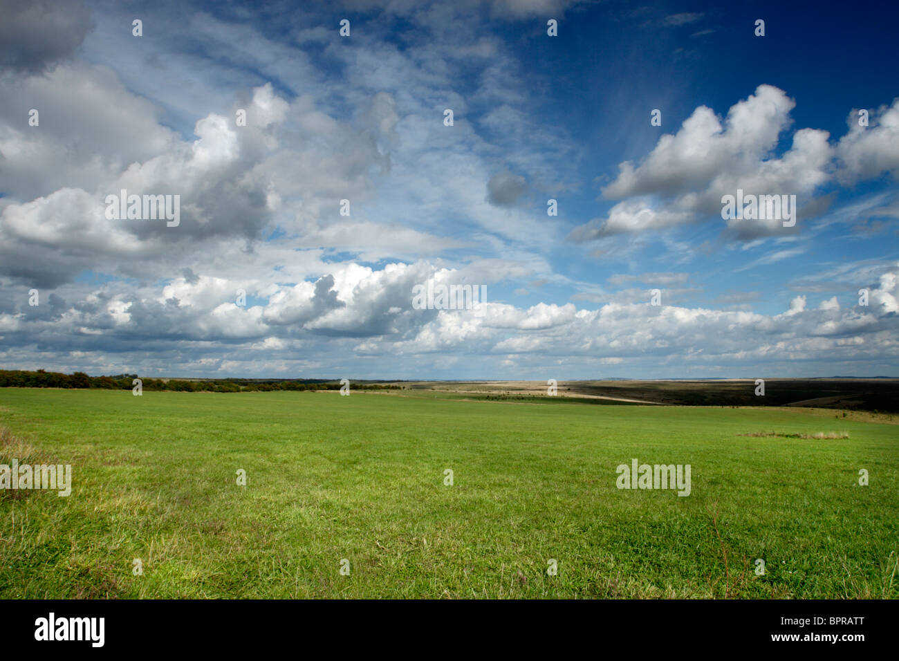 Salisbury Plain, Wiltshire, England, UK Stock Photo - Alamy