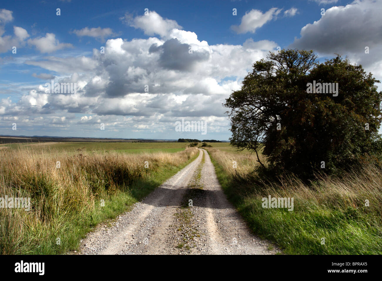 Salisbury Plain, Wiltshire, England, UK Stock Photo - Alamy