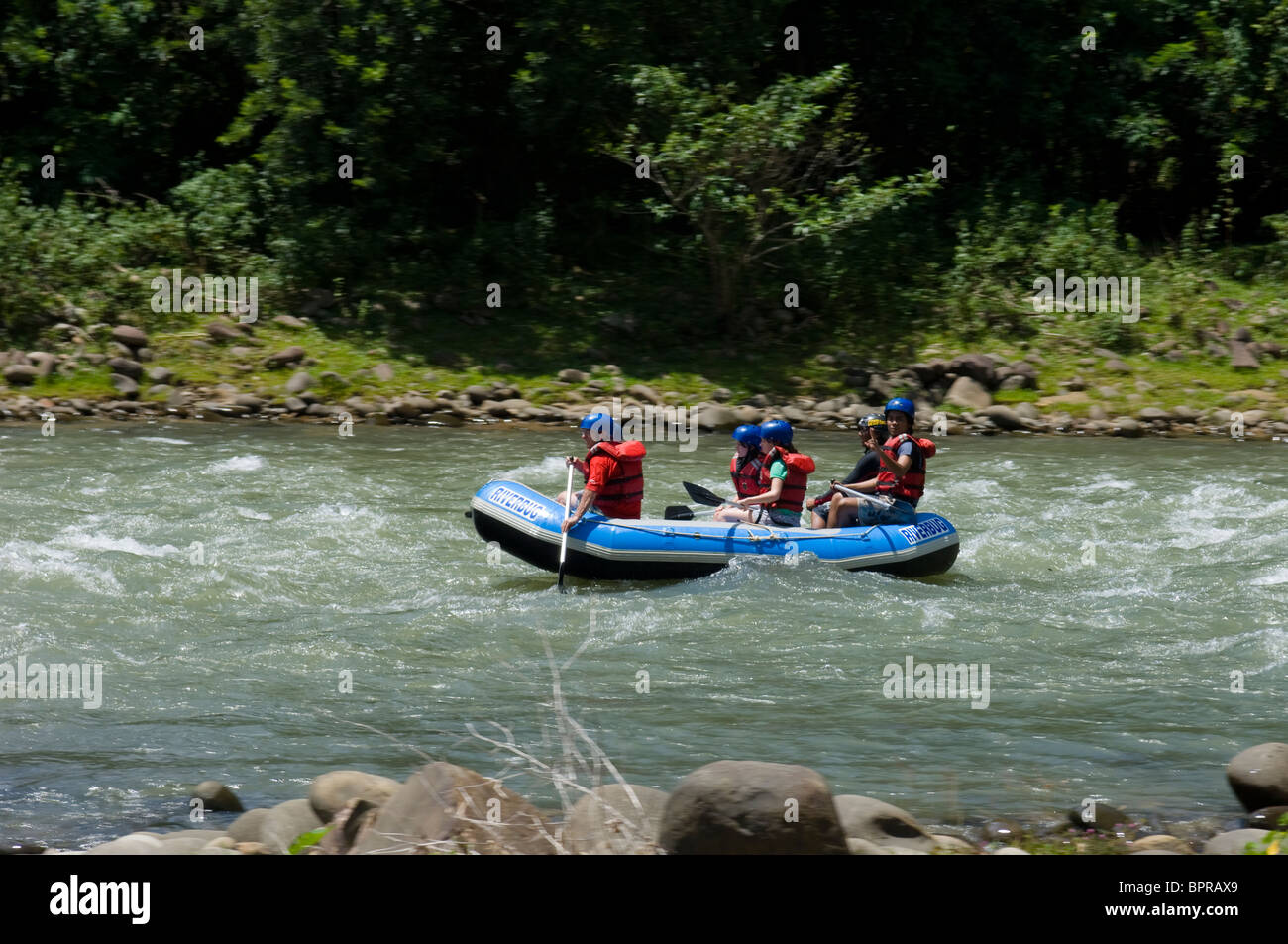 White Water Rafting on the Kuilu River, Sabah, Borneo Stock Photo - Alamy