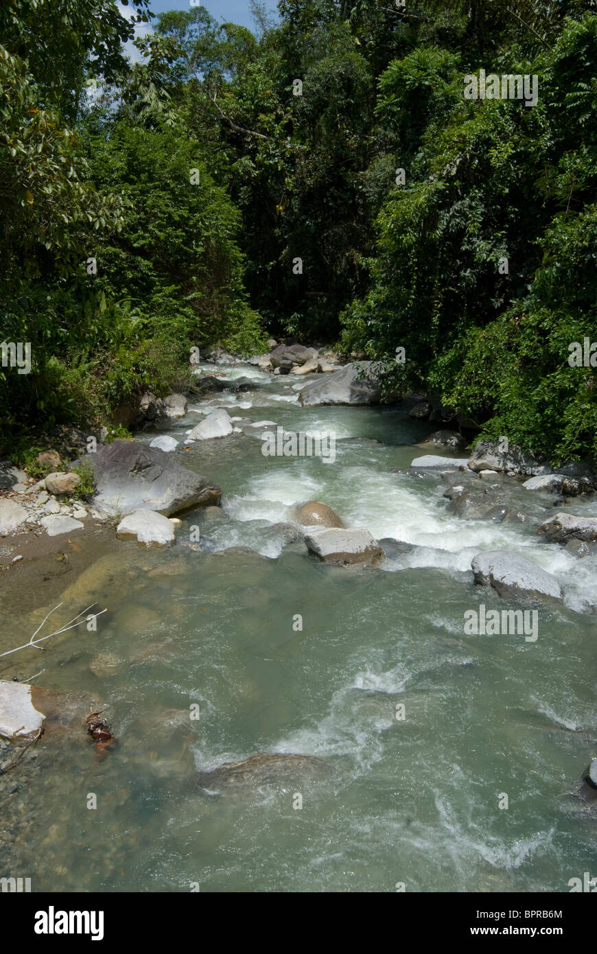 River stream forest hi-res stock photography and images - Alamy
